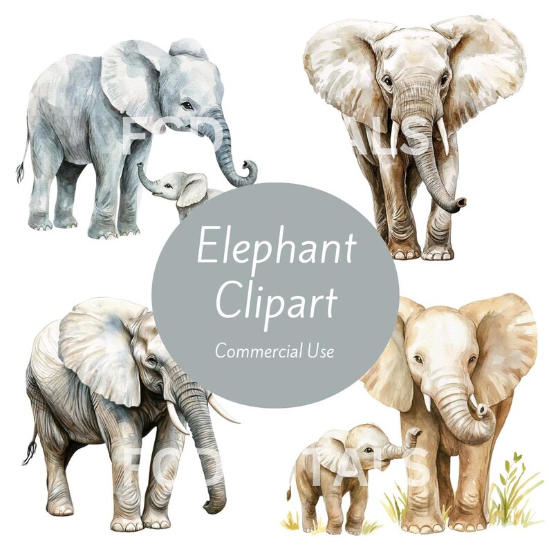 Elephant Clipart, Wild Animal Clipart, Printable Clipart, Instant ...