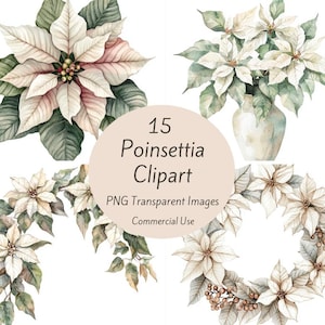Christmas Poinsettia Clipart, Christmas Clipart, Christmas Flowers ...