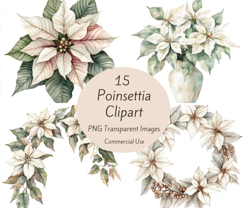 Christmas Poinsettia Clipart, Christmas Clipart, Christmas Flowers ...