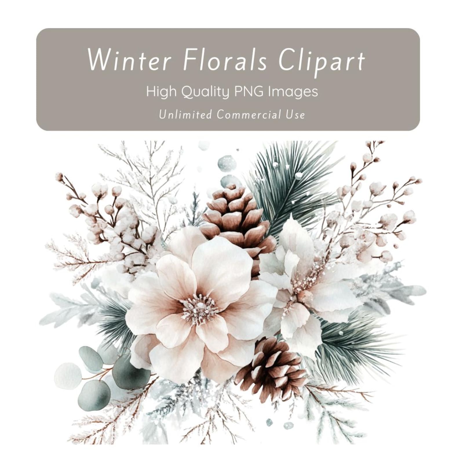 Winter Flowers Clipart, Beautiful Winter Florals Images, Wedding ...