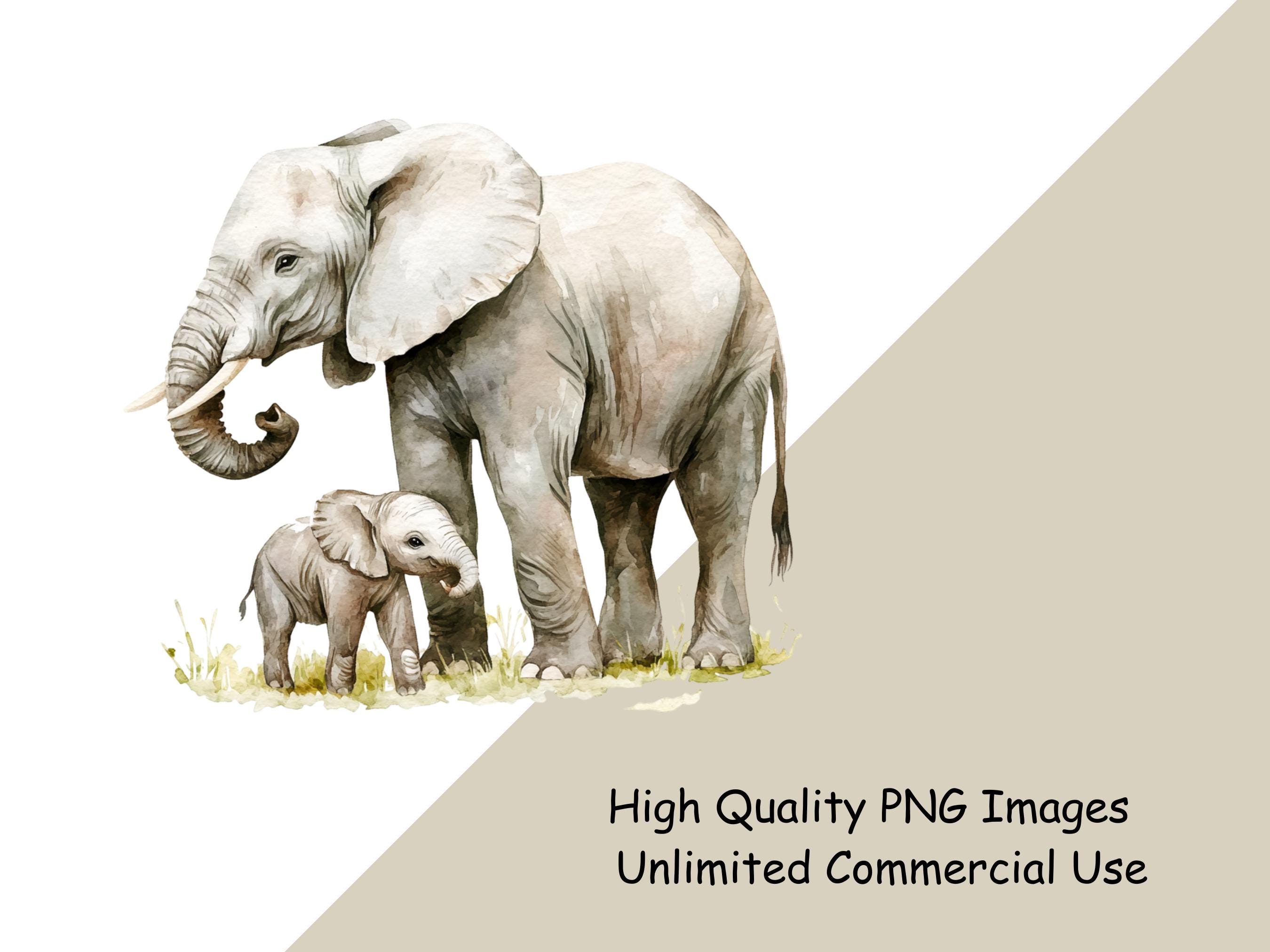 Elephant Clipart, Wild Animal Clipart, Printable Clipart, Instant ...