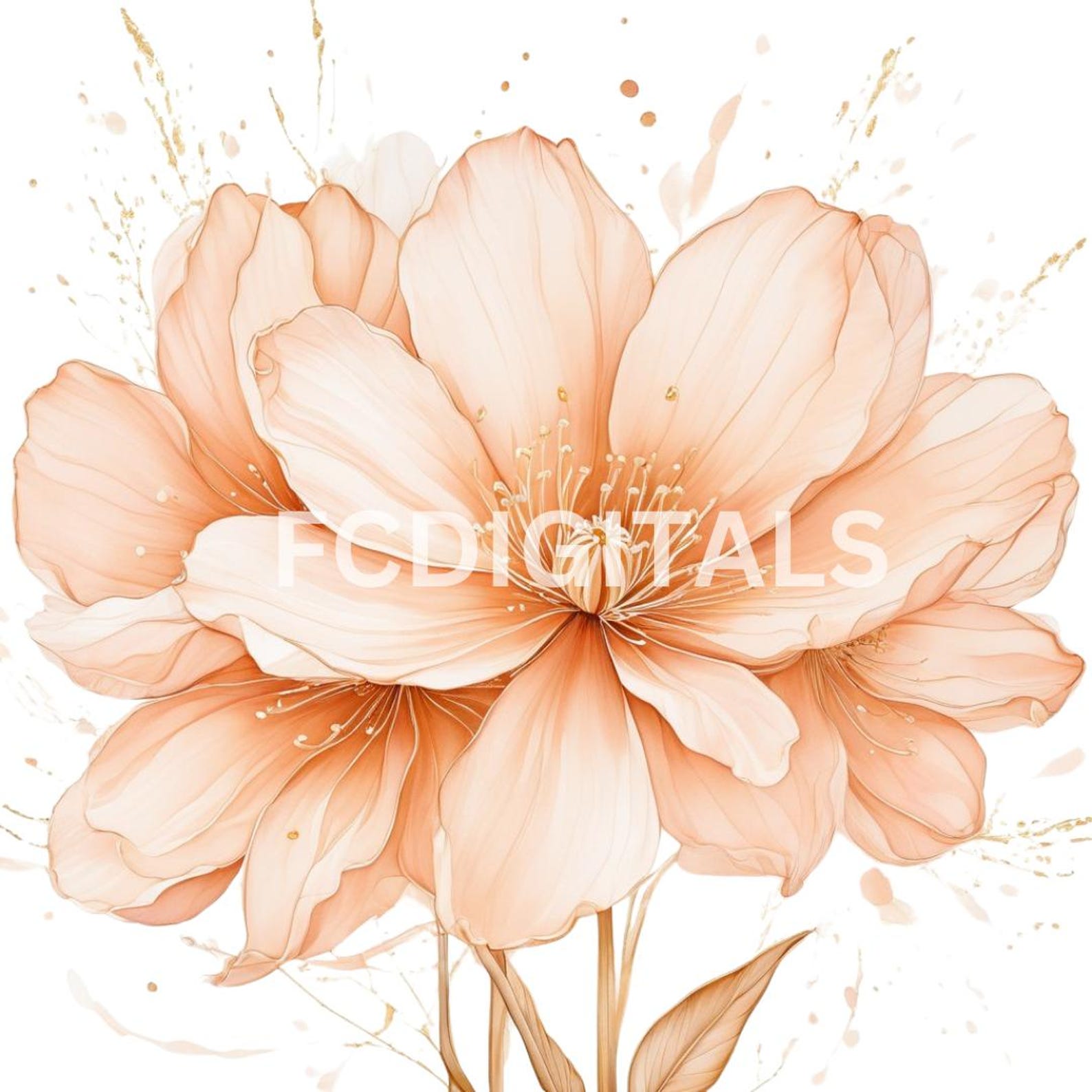 Watercolor Peach Flowers Clipart, Transparent Pngs, Modern Abstract ...