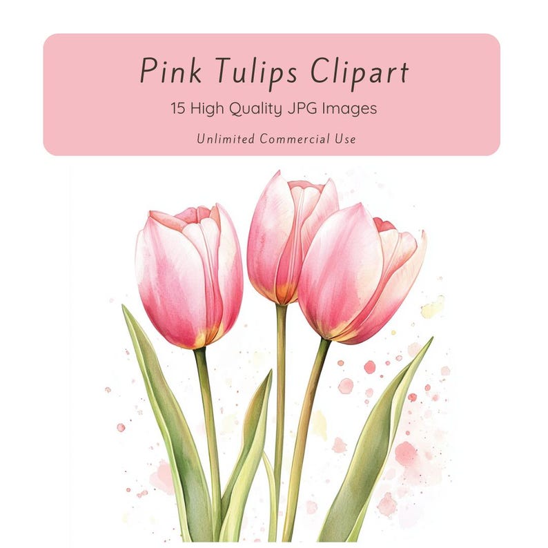 Pink Tulips Clipart, Spring Flowers Clipart, Watercolor Pink Flowers ...