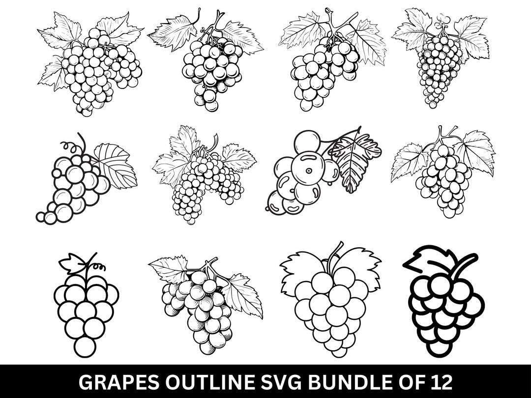 Grape SVG, Wine Svg Bundle, Fruit SVG, Vineyard Cut File, Wine SVG, Grape Cricut, Grape Vector ...