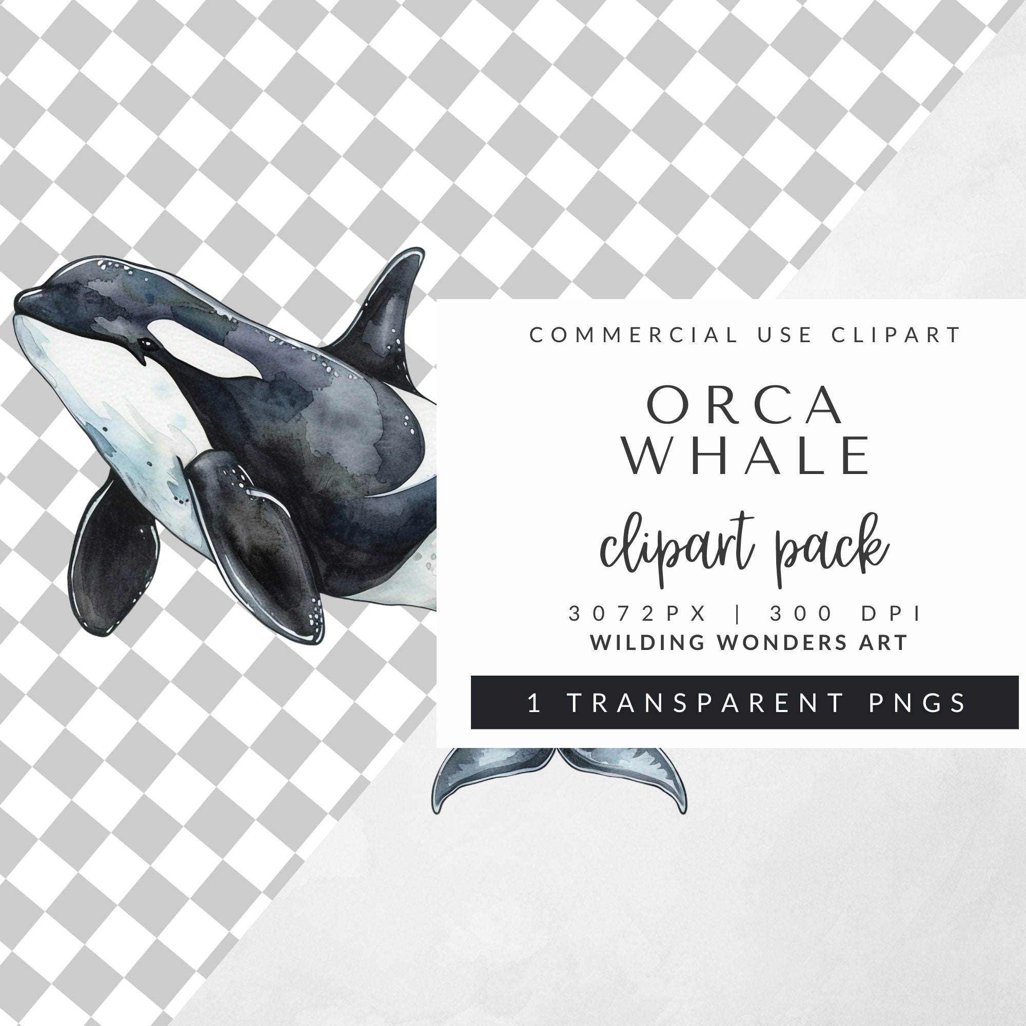 Watercolor Orca Whale Clipart for Commercial Use, Killer Whale PNG ...