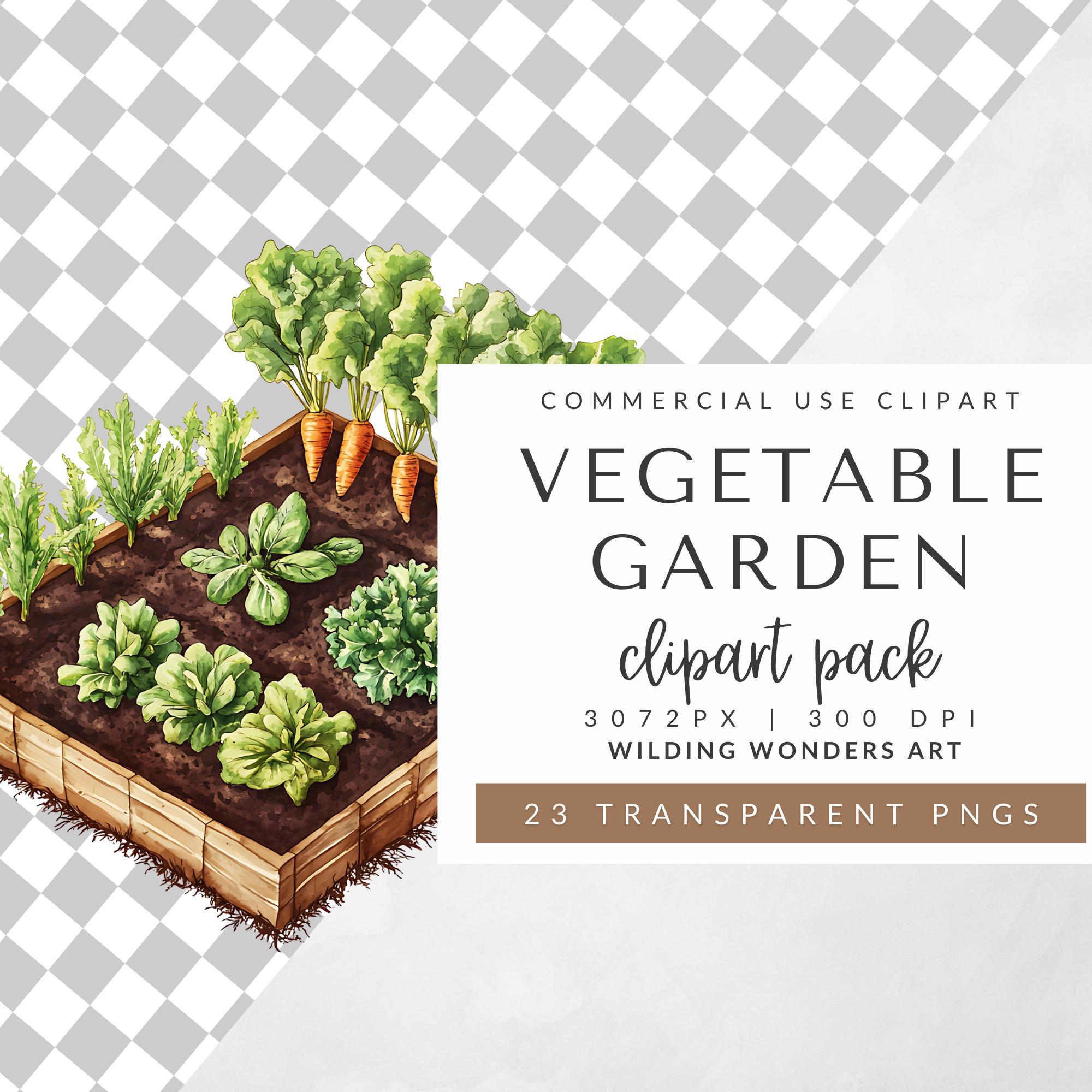 Vegetable Garden Clipart Pack for Commercial Use, Watercolor Clipart ...
