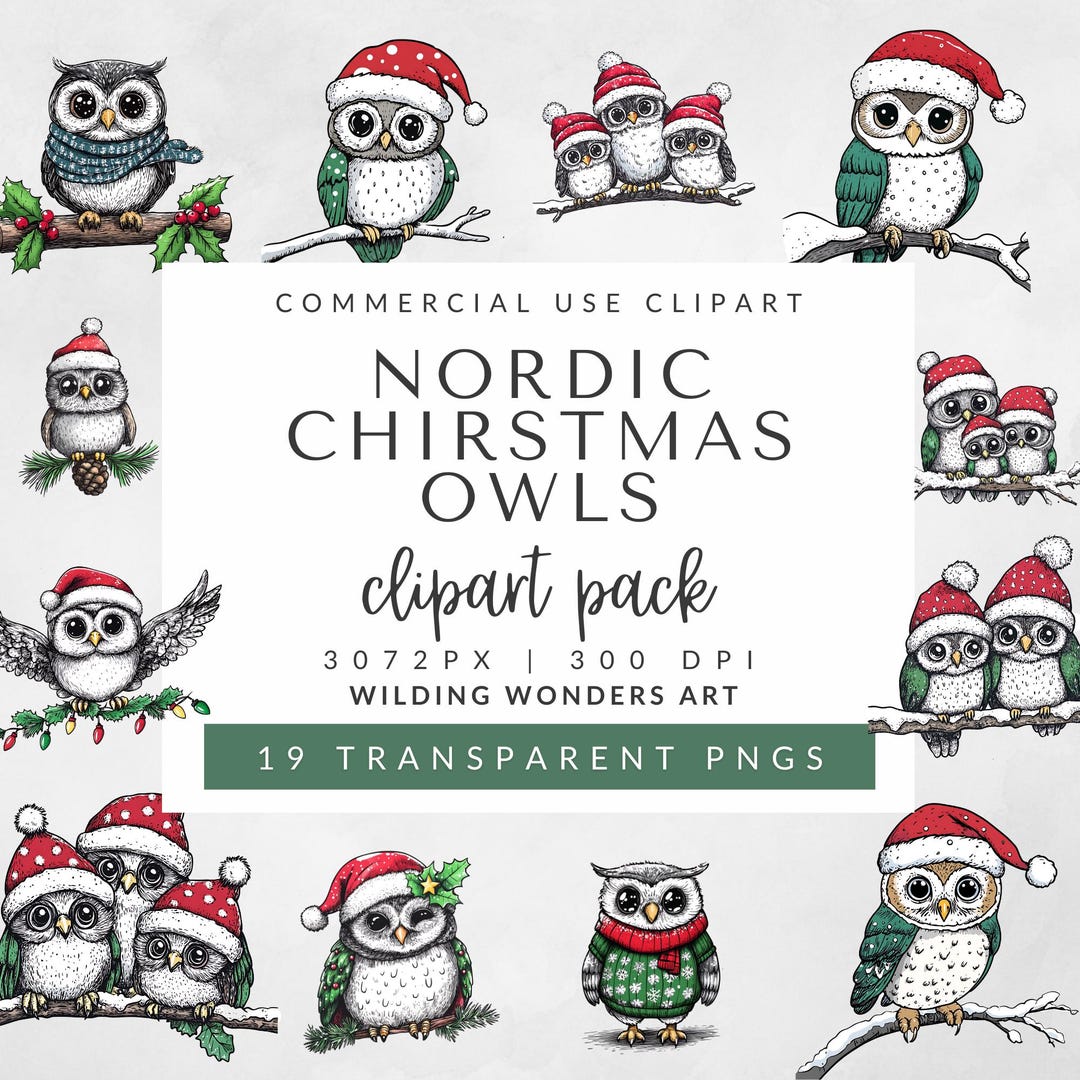 Nordic Christmas Owls Clipart Pack for Commercial Use, Cute Owl Clipart ...