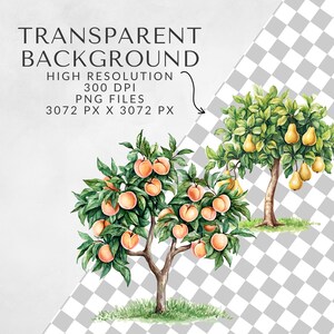 Watercolor Fruit Trees Clipart Pack for Commercial Use, Orange, Lemon ...