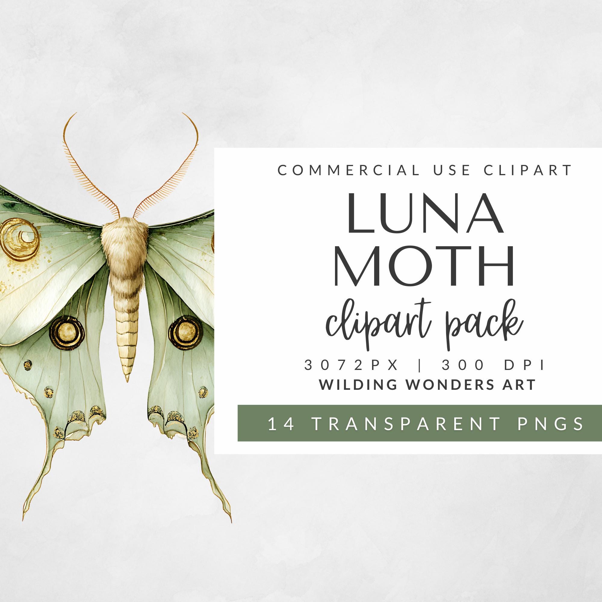 Luna Moth Clipart Pack for Commercial Use, Mystical Butterfly ...