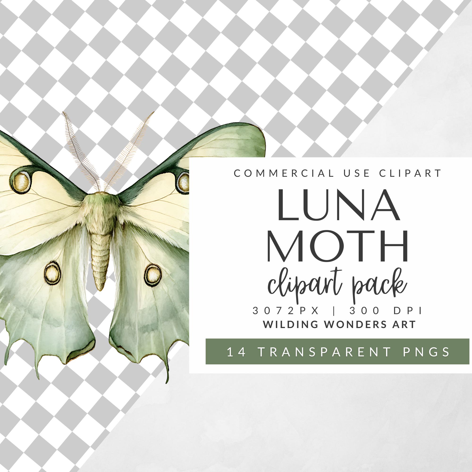 Luna Moth Clipart Pack for Commercial Use, Mystical Butterfly ...