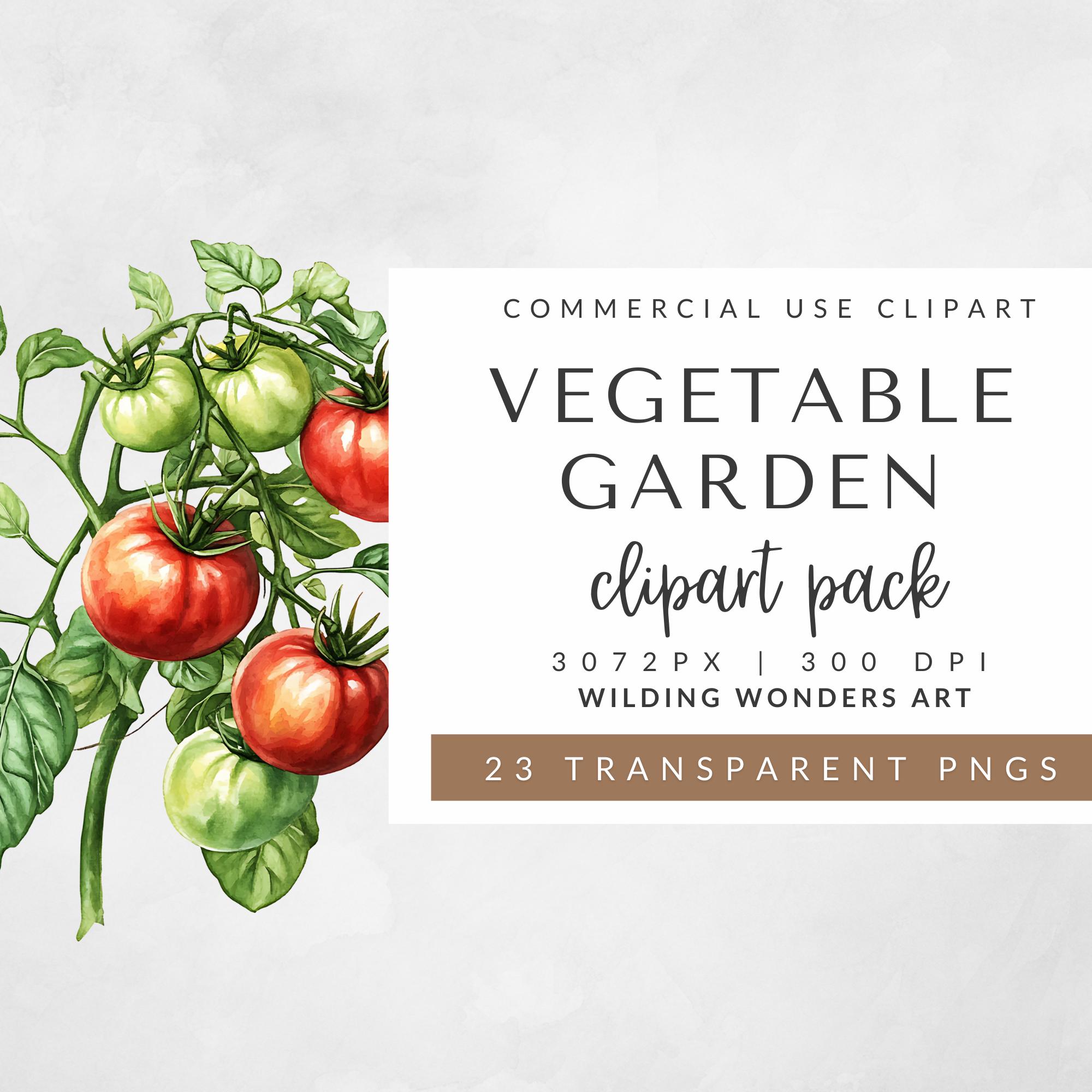 Vegetable Garden Clipart Pack for Commercial Use, Watercolor Clipart ...