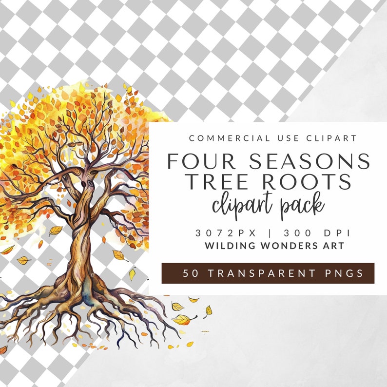 Watercolor Tree Roots Clipart for Commercial Use, Four Seasons Tree ...
