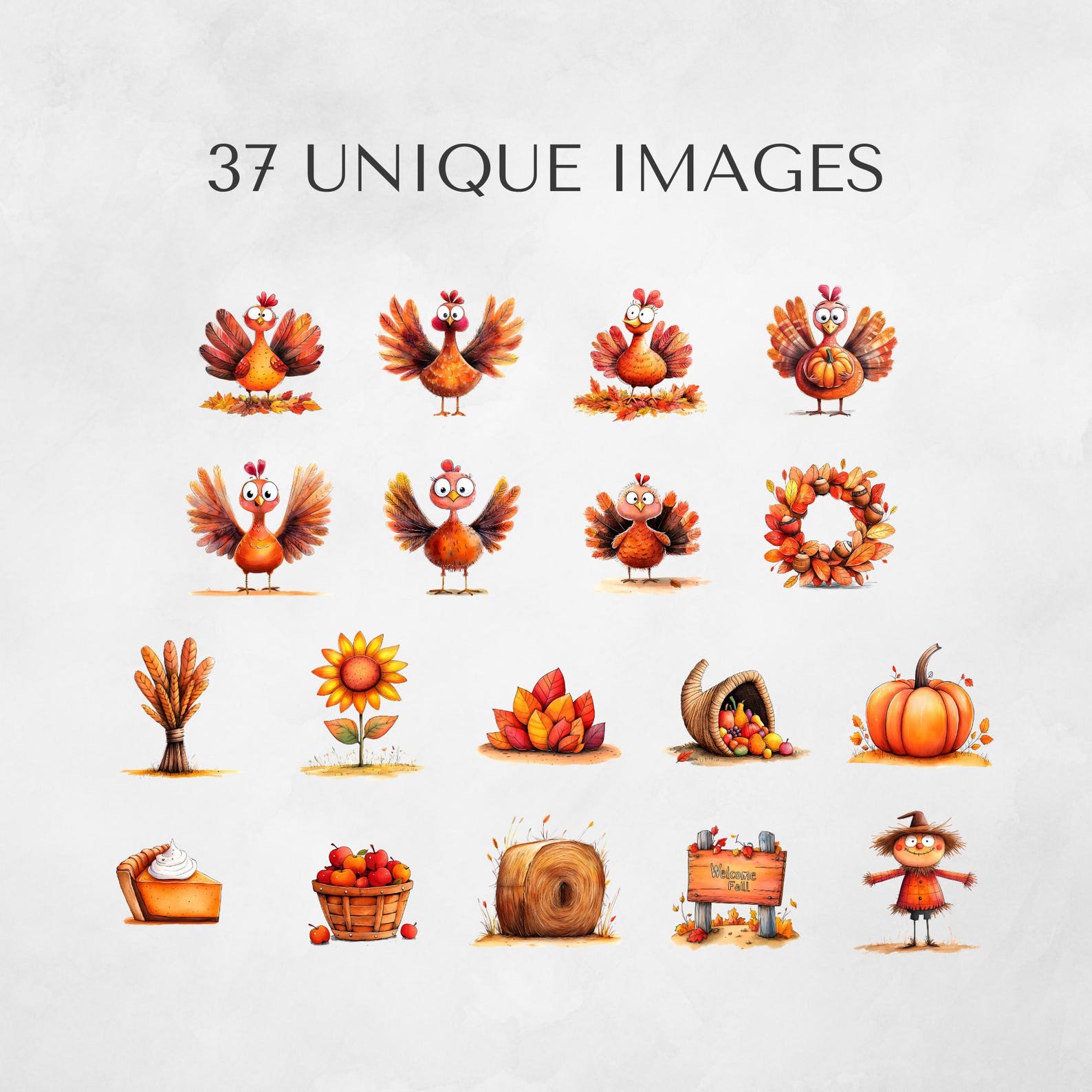 Quirky Turkeys Clipart Pack for Commercial Use, Thanksgiving Turkey ...