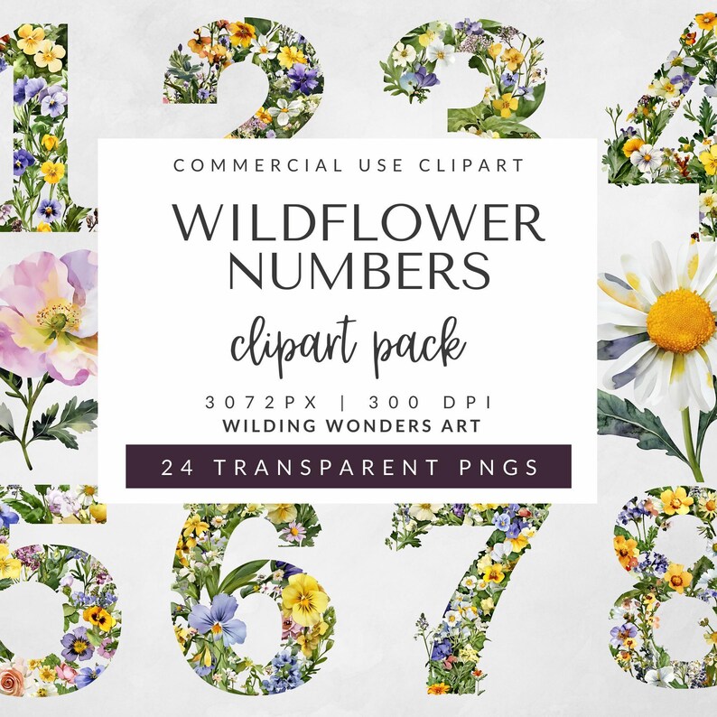 Wildflower Numbers Clipart Pack for Commercial Use, Watercolor Numbers ...