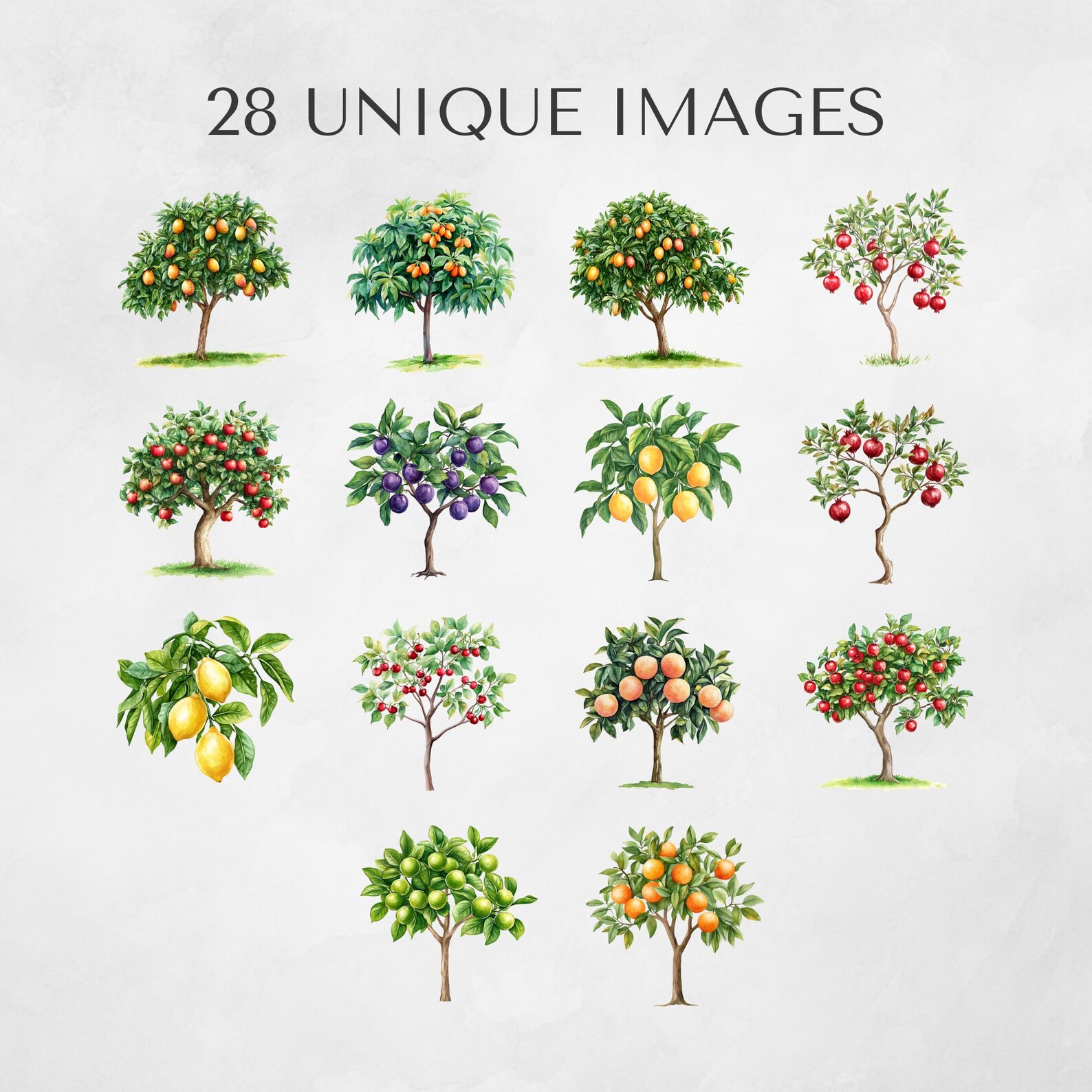 Watercolor Fruit Trees Clipart Pack for Commercial Use, Orange, Lemon Tree, Apple Tree Pngs ...