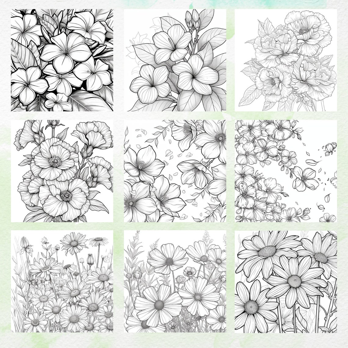Coloring Book Flowers NURIE 20 Pages Flowers Coloring Book for Adults ...