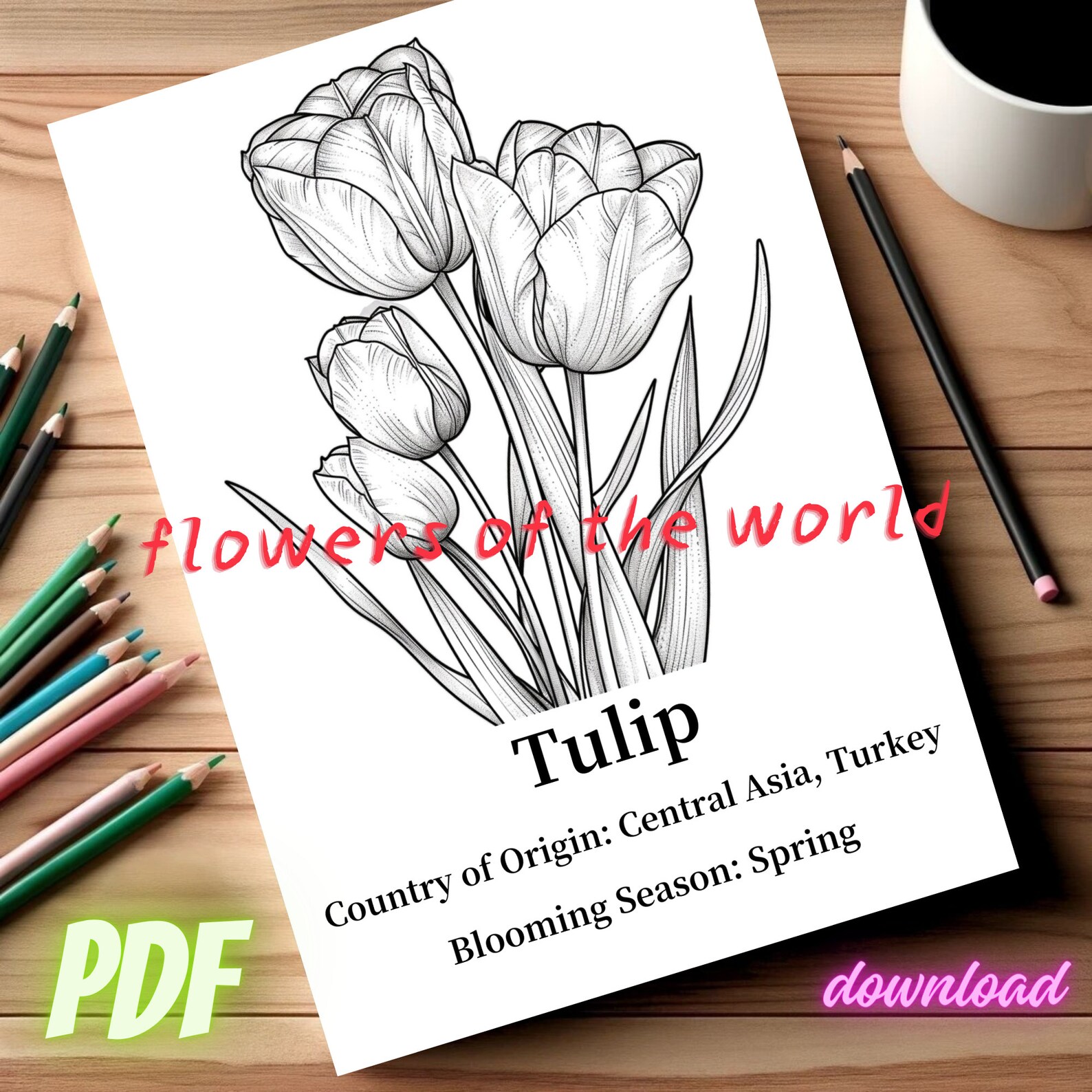 Coloring Book Flowers NURIE 20 Pages Flowers Coloring Book for Adults ...