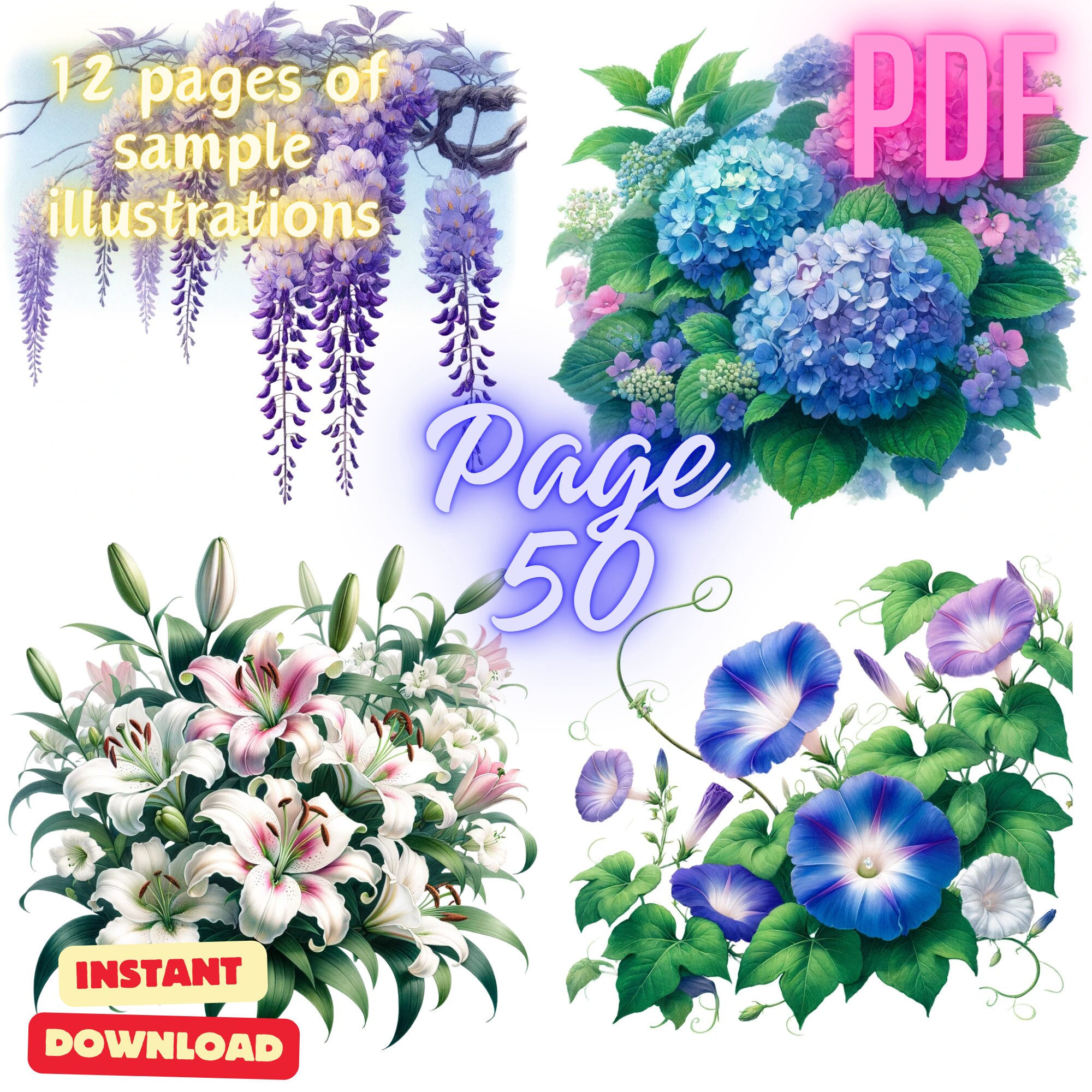 Coloring Book Flower NURIE Japanese Flowers Coloring Book for Adults ...