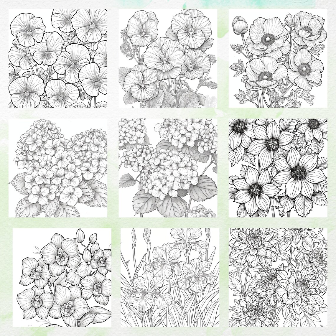Coloring Book Flowers NURIE 20 Pages Flowers Coloring Book for Adults ...