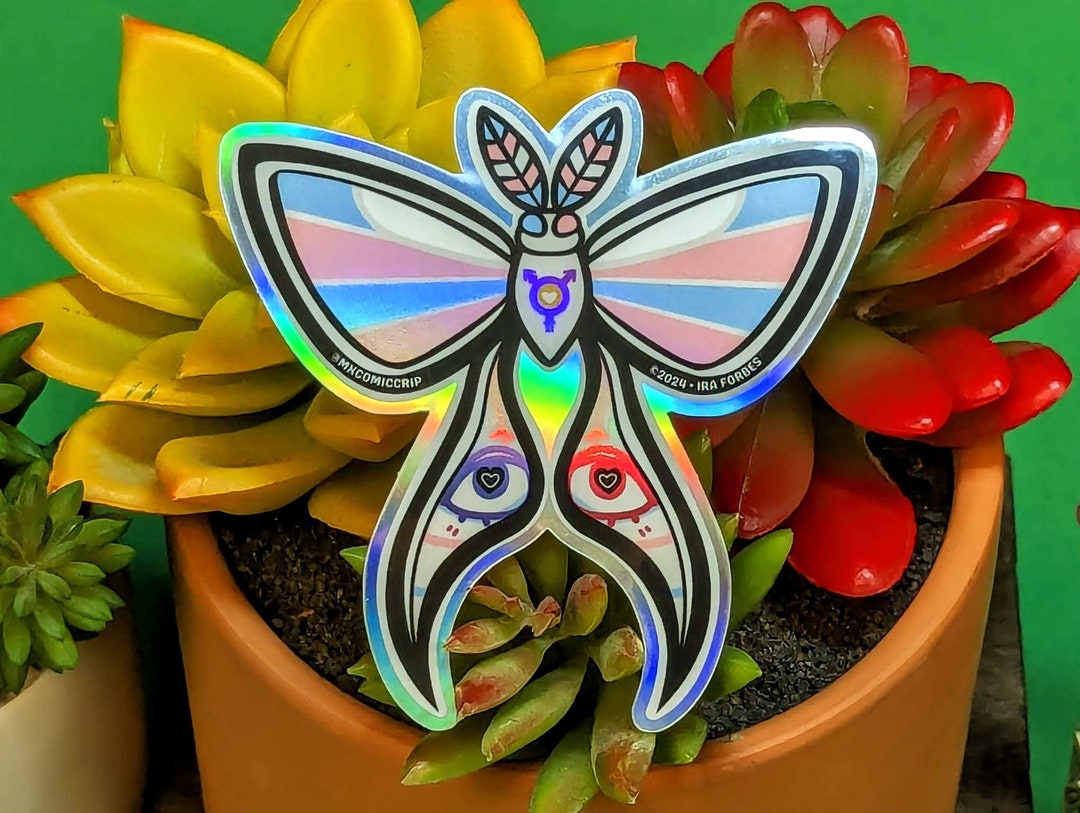 Transgender Pride Moth Holographic Die Cut Vinyl Stickers 3x3 In ...