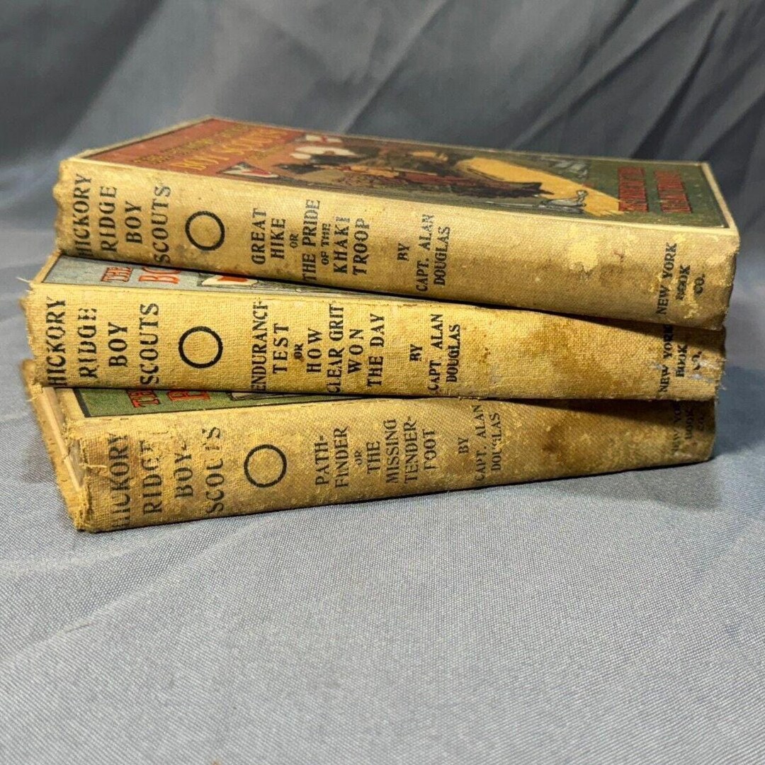 Antique Set of 3 Hickory Ridge Boy Scouts by Alan Douglas 1913 NY Book ...