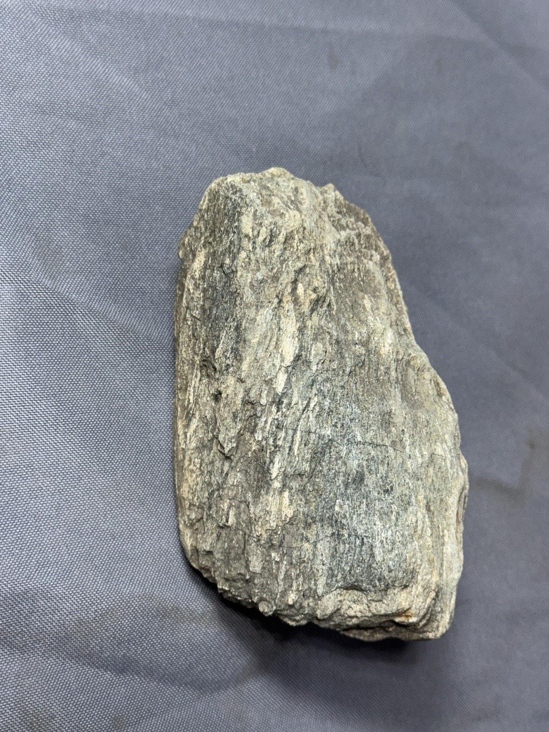 Large Mica Schist W/quartz Metamorphic Crystals Rocks Minerals 1.6lb - Etsy
