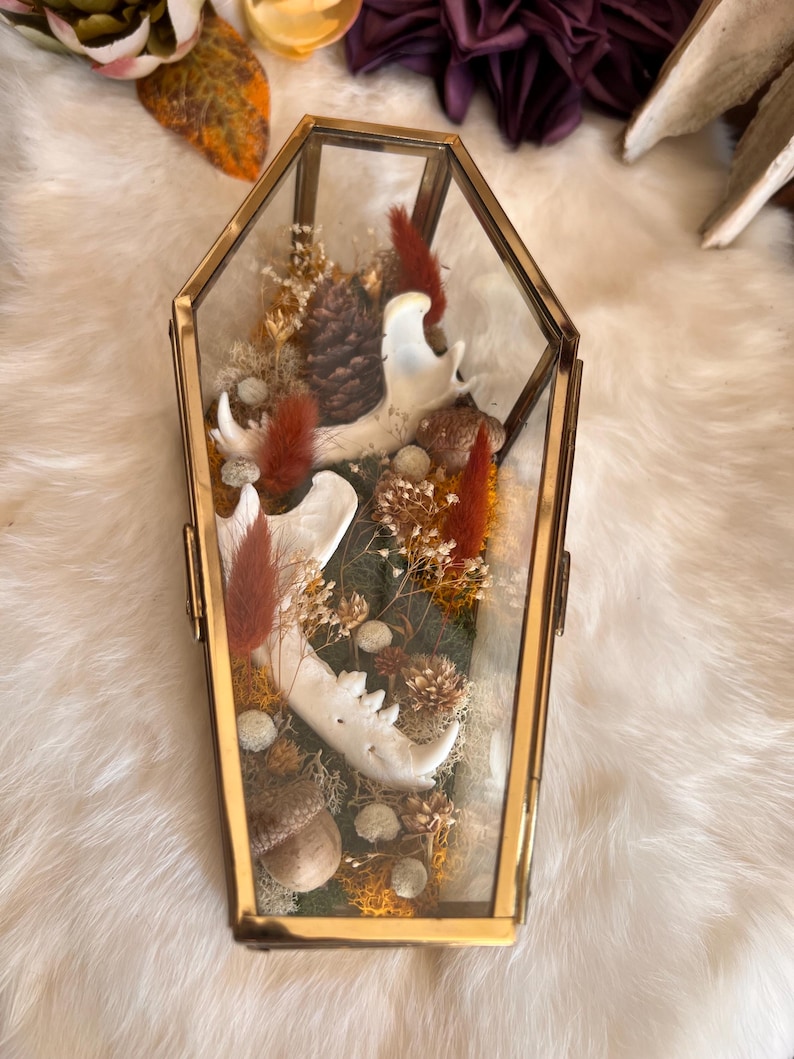 Floral Raccoon Jaw Coffin Terrarium - Home Decor - UNIQUE - ONE of ONE ...