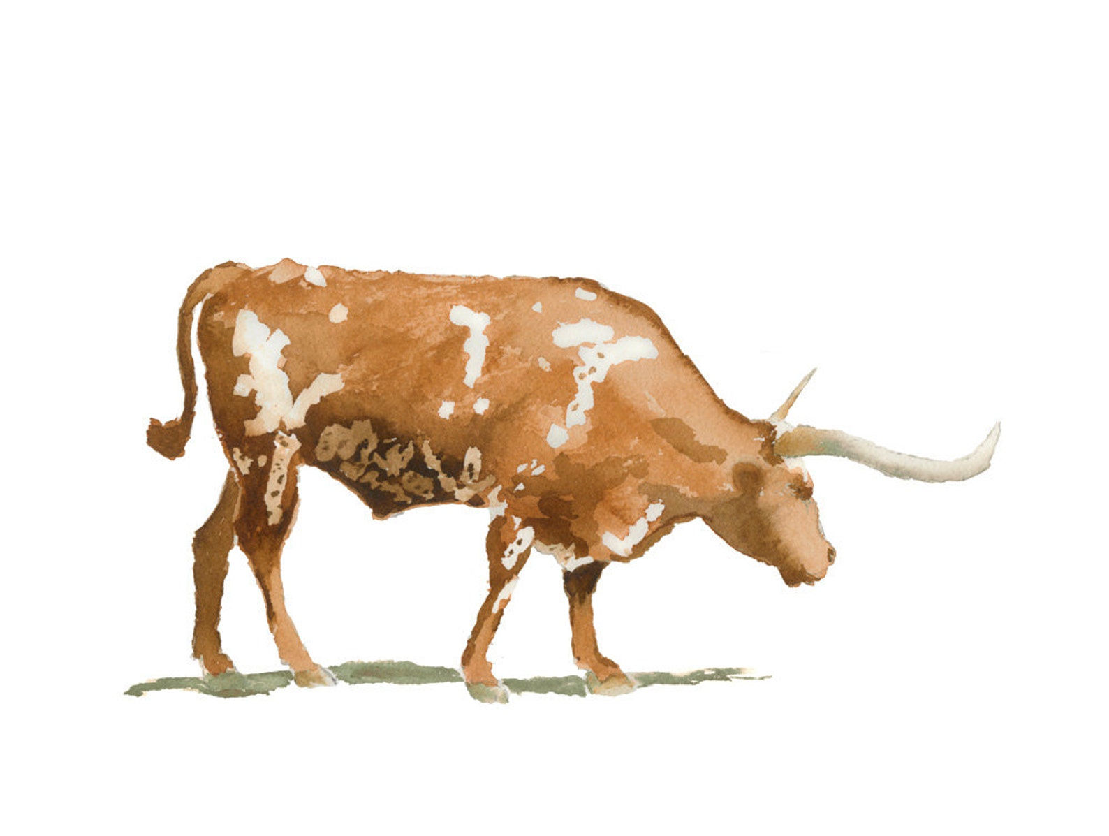 Longhorn Fine Art Print Longhorn Wall Decor Brown Rust - Etsy