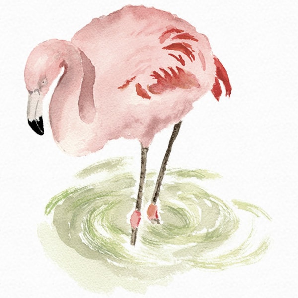 Pale Flamingo Print - Etsy