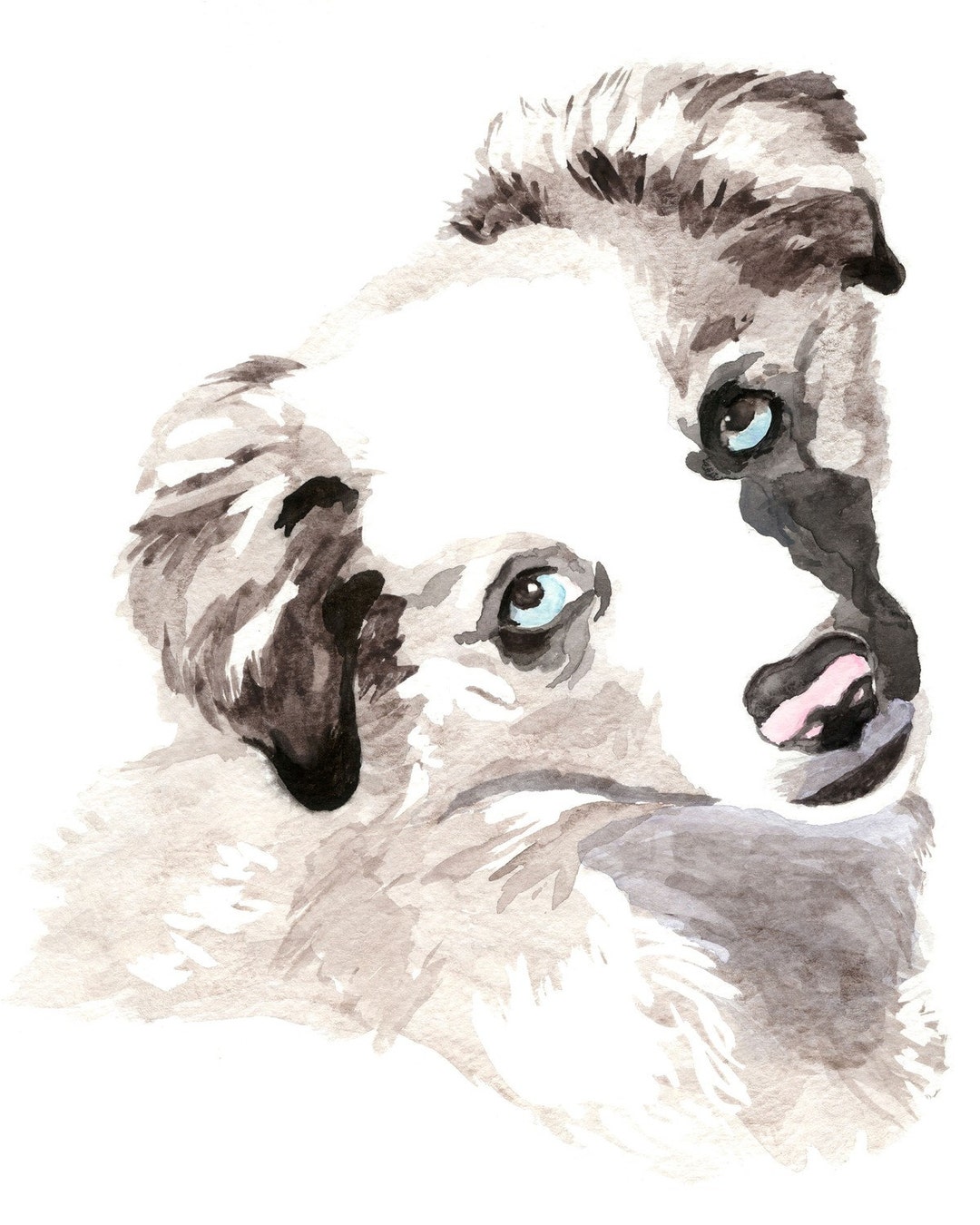 Blue Merle Border Collie Pup Watercolor Art Print - Etsy