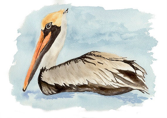 Brown Pelican Art Print from Original Watercolor Riding the | Etsy