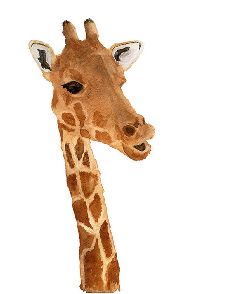 Giraffe Art Print From Original Watercolor Children's | Etsy