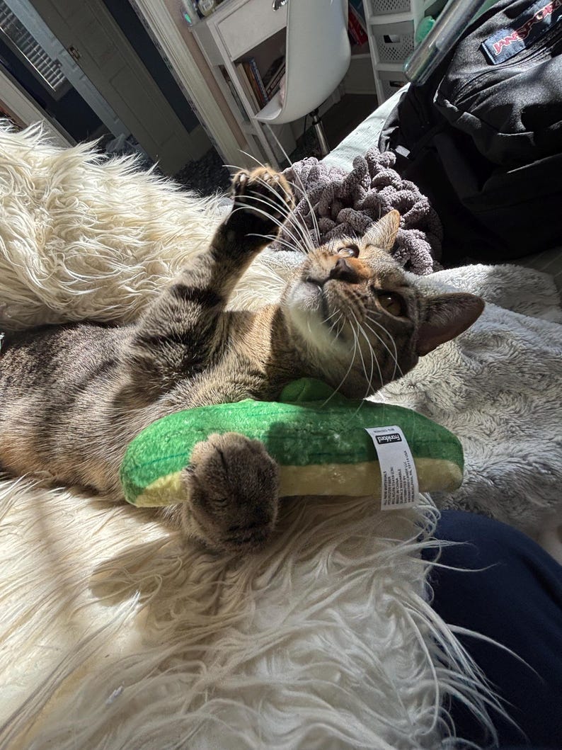 Cotton Candy Skies - Etsy