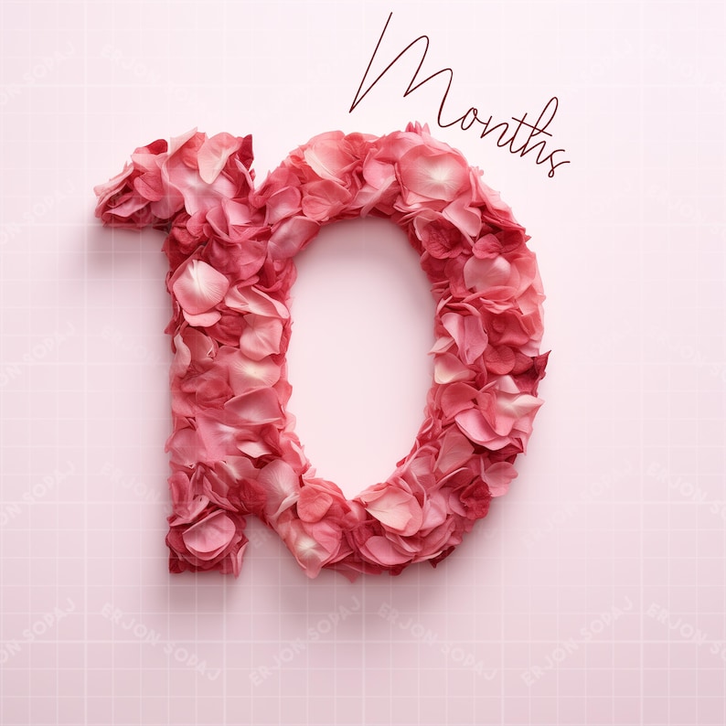 12 Baby Girl First Twelve Months Digital Backdrop, Rose Petal Numbers ...