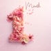 12 Baby Girl First Twelve Months Digital Backdrop, Rose Petal Numbers ...