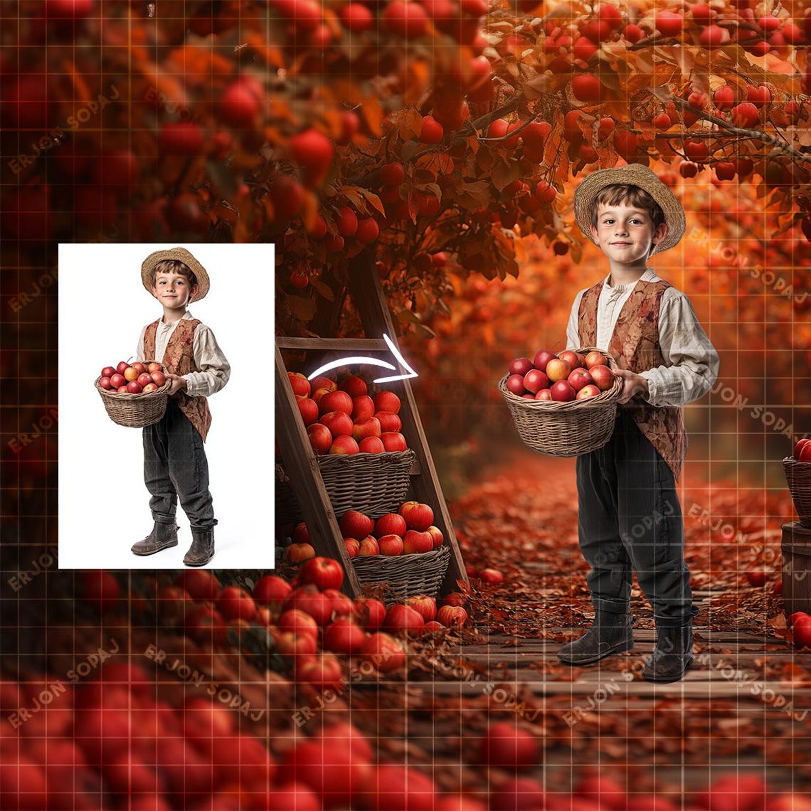 Apple Orchard Digital Background, Photography Composite, Backdrop for ...