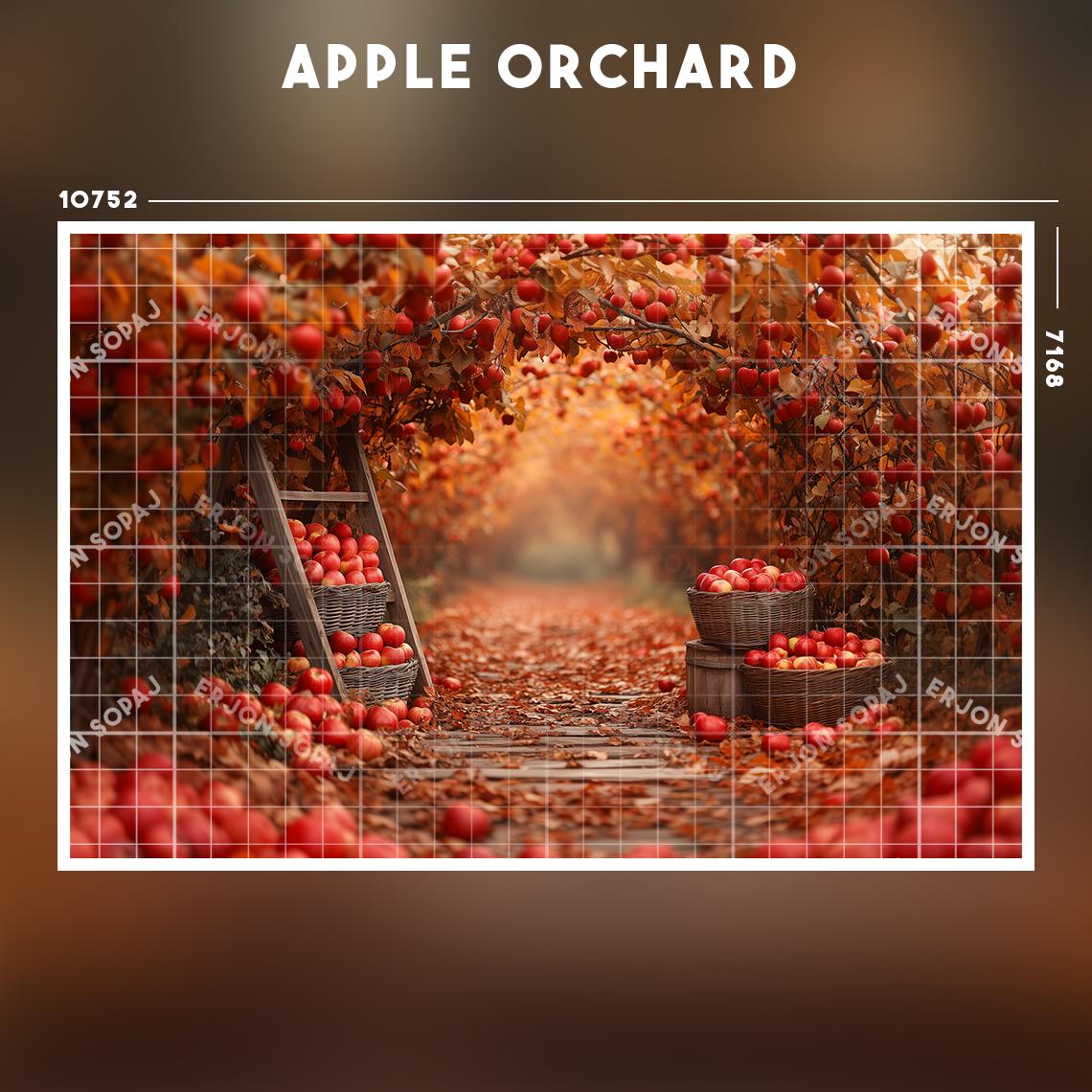 Apple Orchard Digital Background, Photography Composite, Backdrop for ...