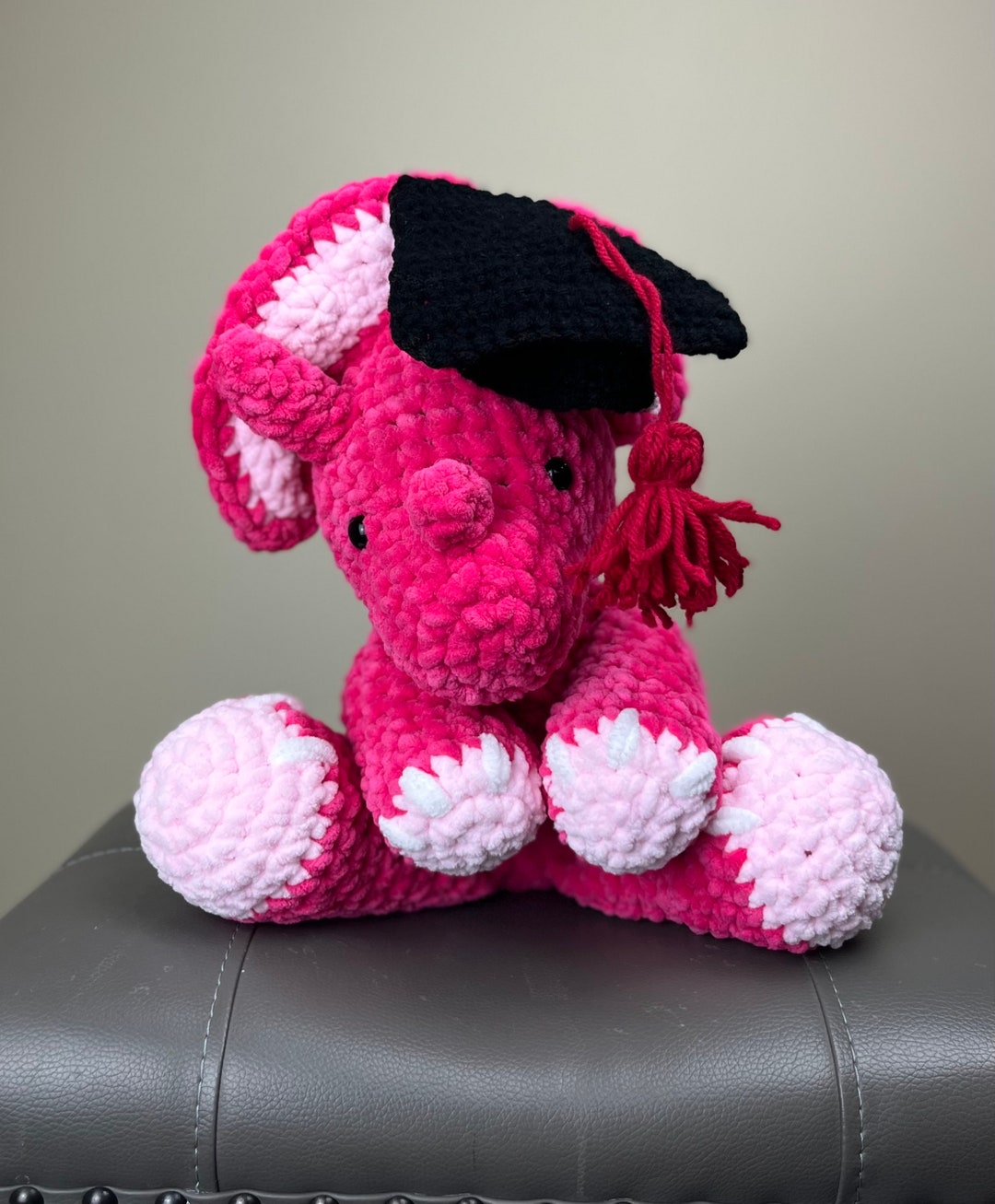 Graduation Dino Triceratops - Etsy