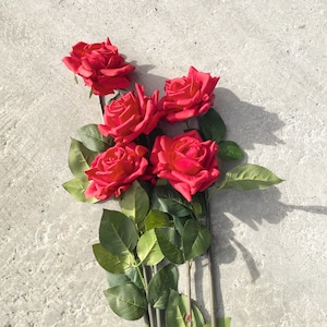 Red Rose/ Real Touch Rose /latex Rose / Flexed Rose/1 Head per Stem ...
