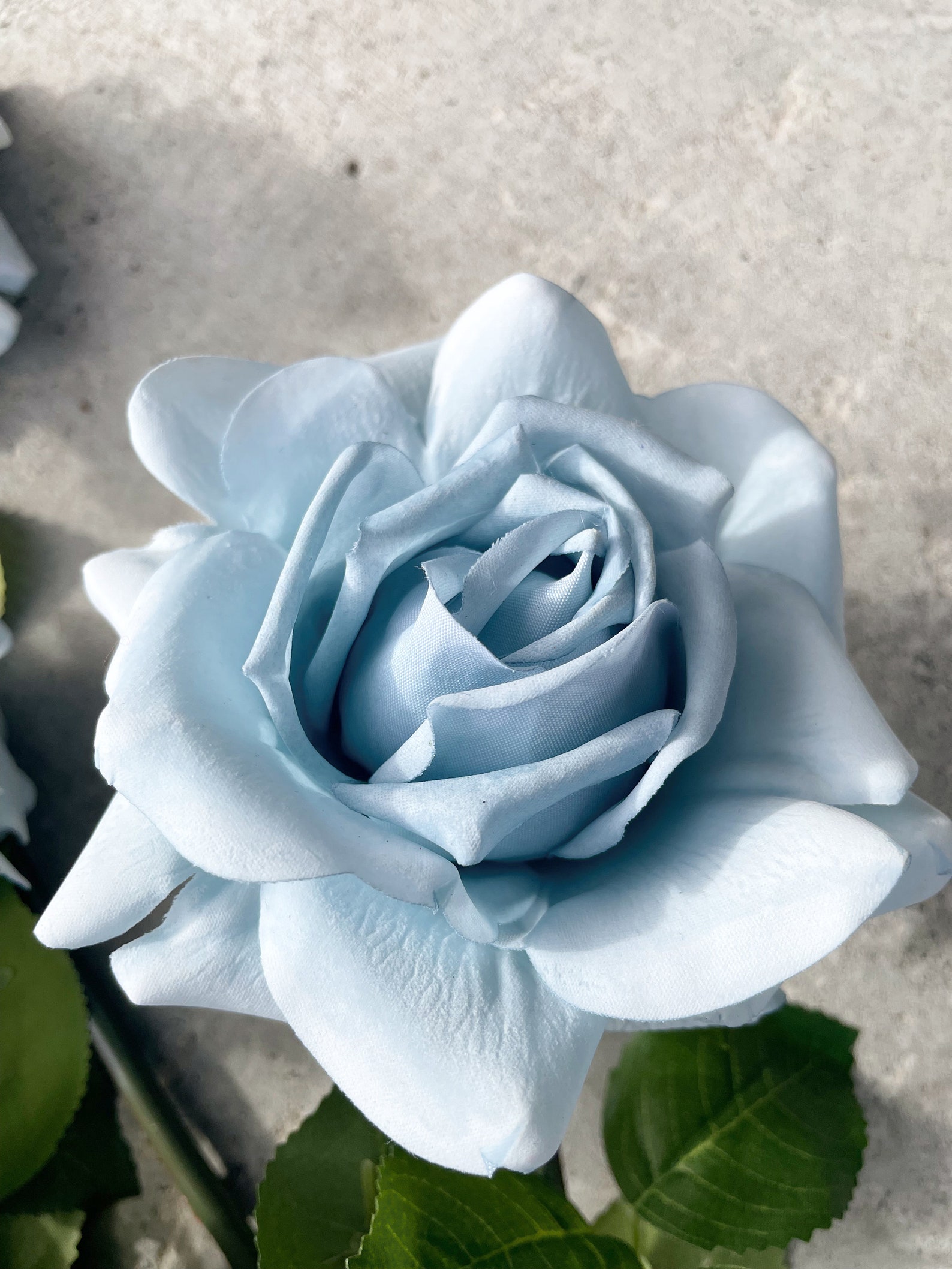 Baby Blue Rose/ Blue Real Touch Rose /latex Rose / Flexed Rose/1 Head ...