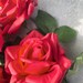 Red Rose/ Real Touch Rose /latex Rose / Flexed Rose/1 Head per Stem ...