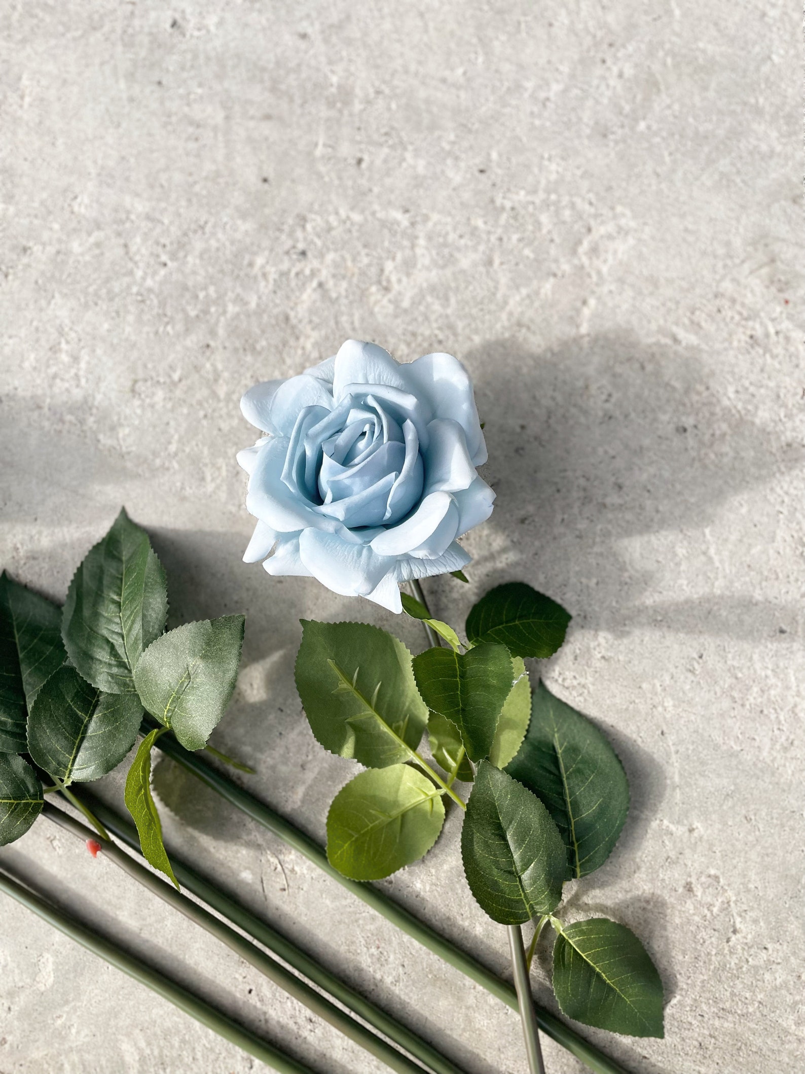 Baby Blue Rose/ Blue Real Touch Rose /latex Rose / Flexed Rose/1 Head ...