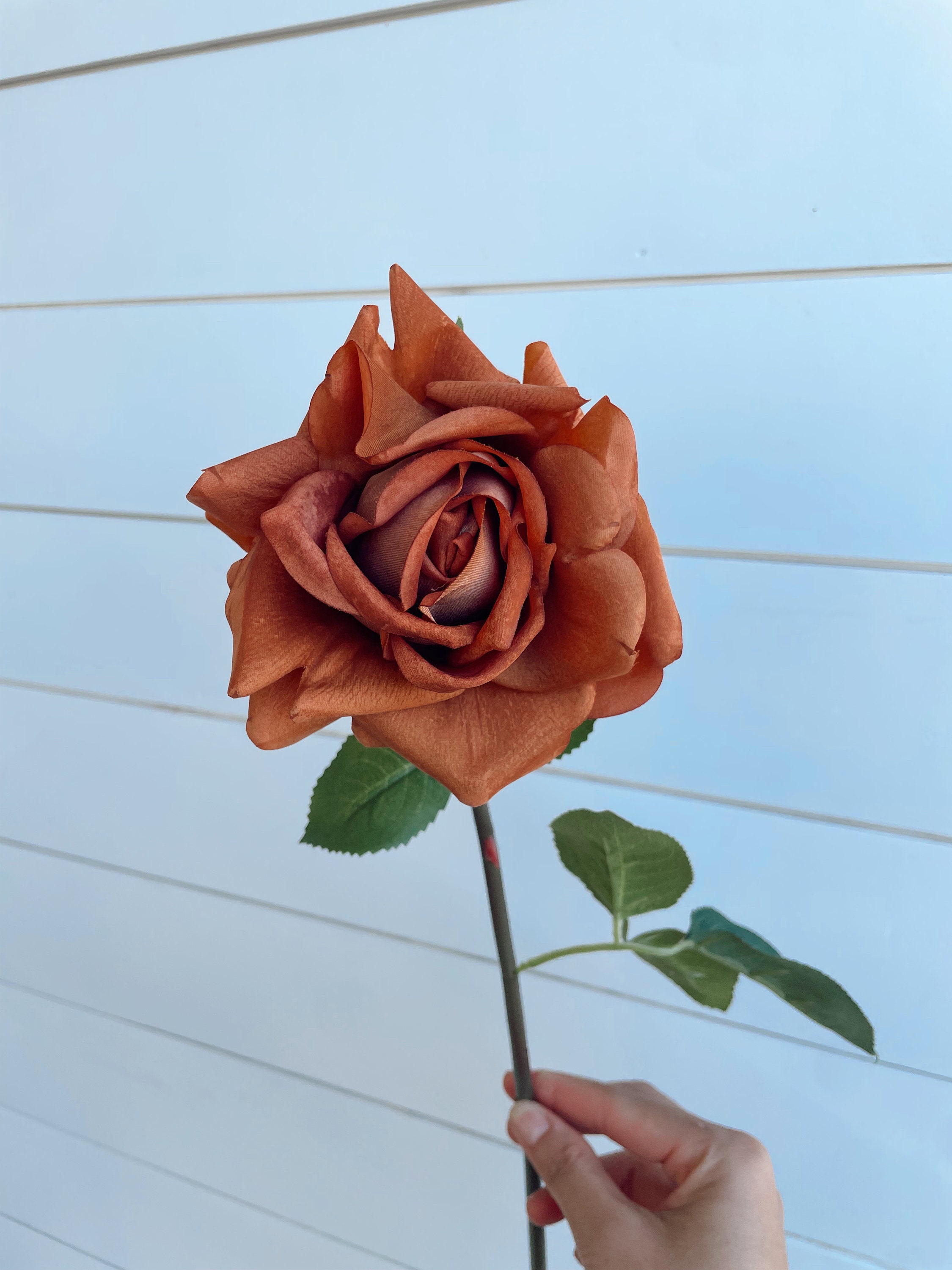 Burnt Orange Rose/ Real Touch Rose /latex Rose / Rust Rose/ Terracotta ...
