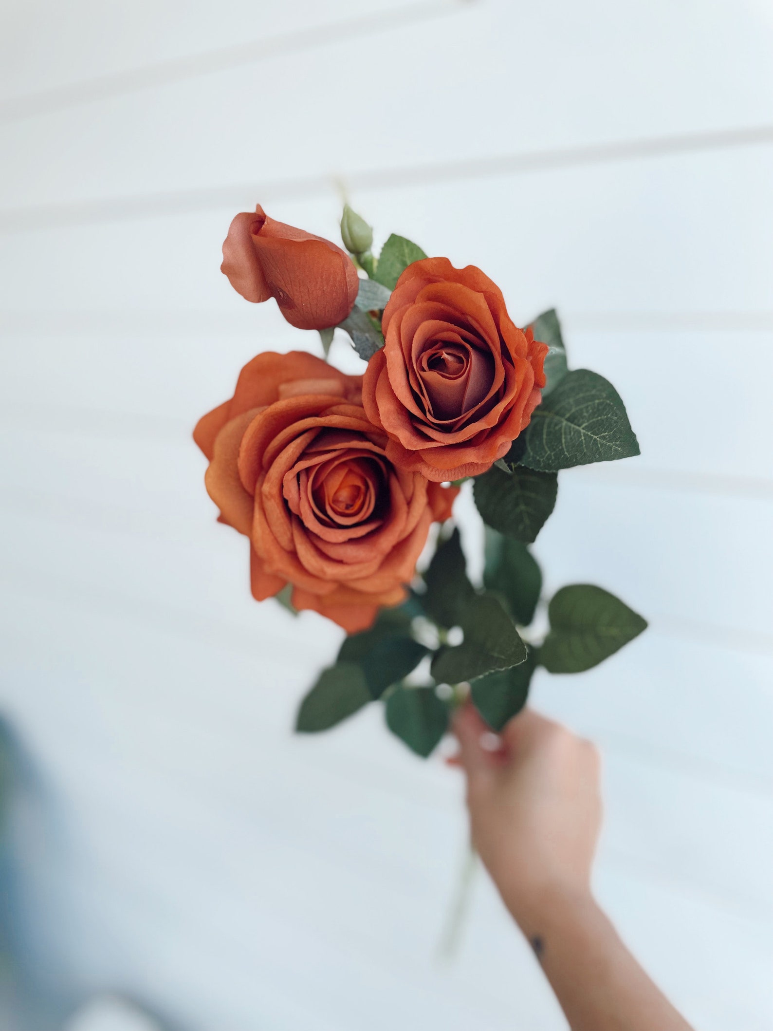 Burnt Orange Rose/ Rust Rose/ Terracotta Rose/ Roses per Stem/ Touch ...