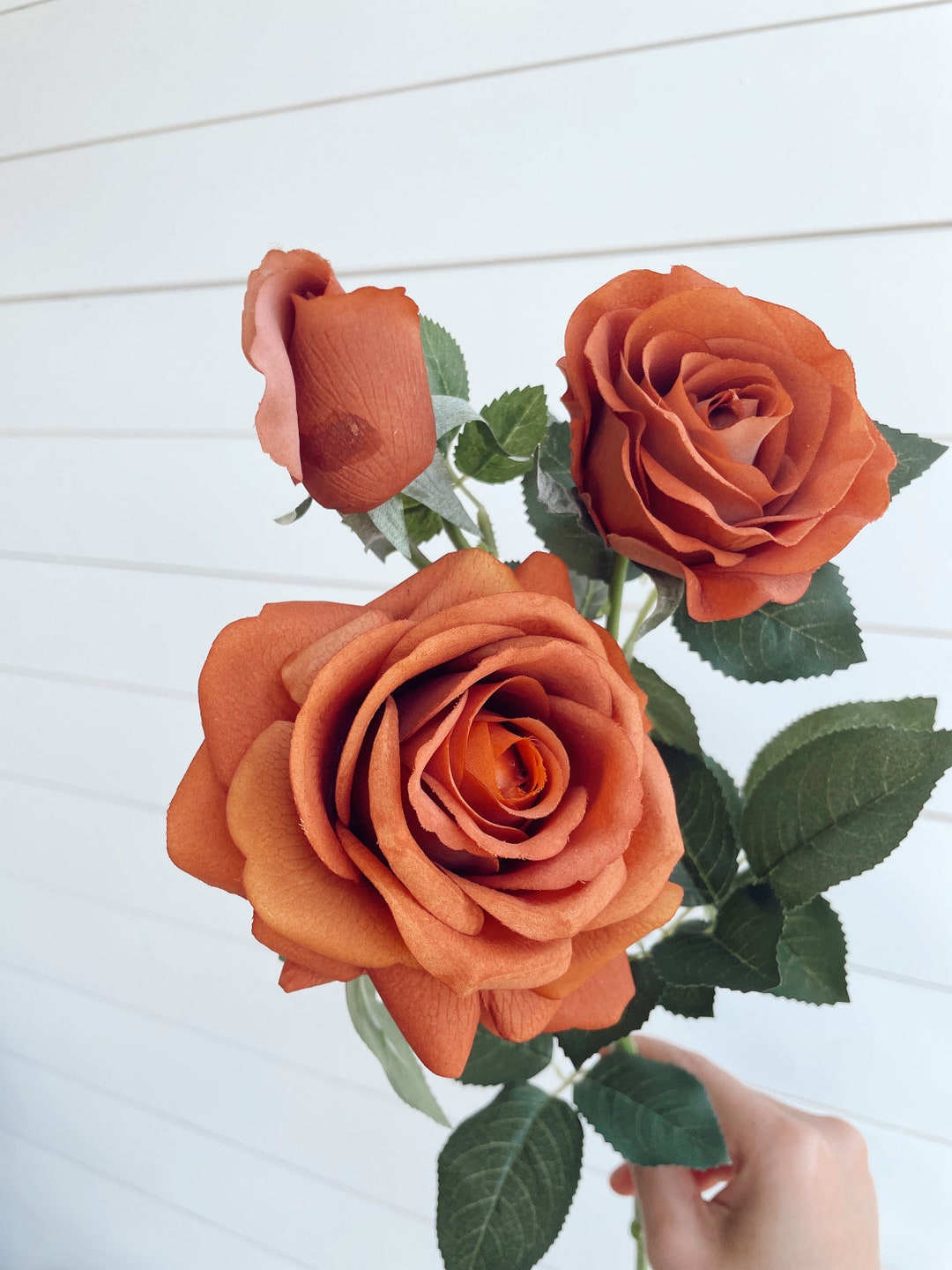 Burnt Orange Rose/ Rust Rose/ Terracotta Rose/ Roses per Stem/ Touch ...