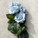 Baby Blue Rose/ Blue Real Touch Rose /latex Rose / Flexed Rose/1 Head ...