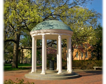 UNC-Chapel Hill Football Rameses North Carolina Photography | Etsy