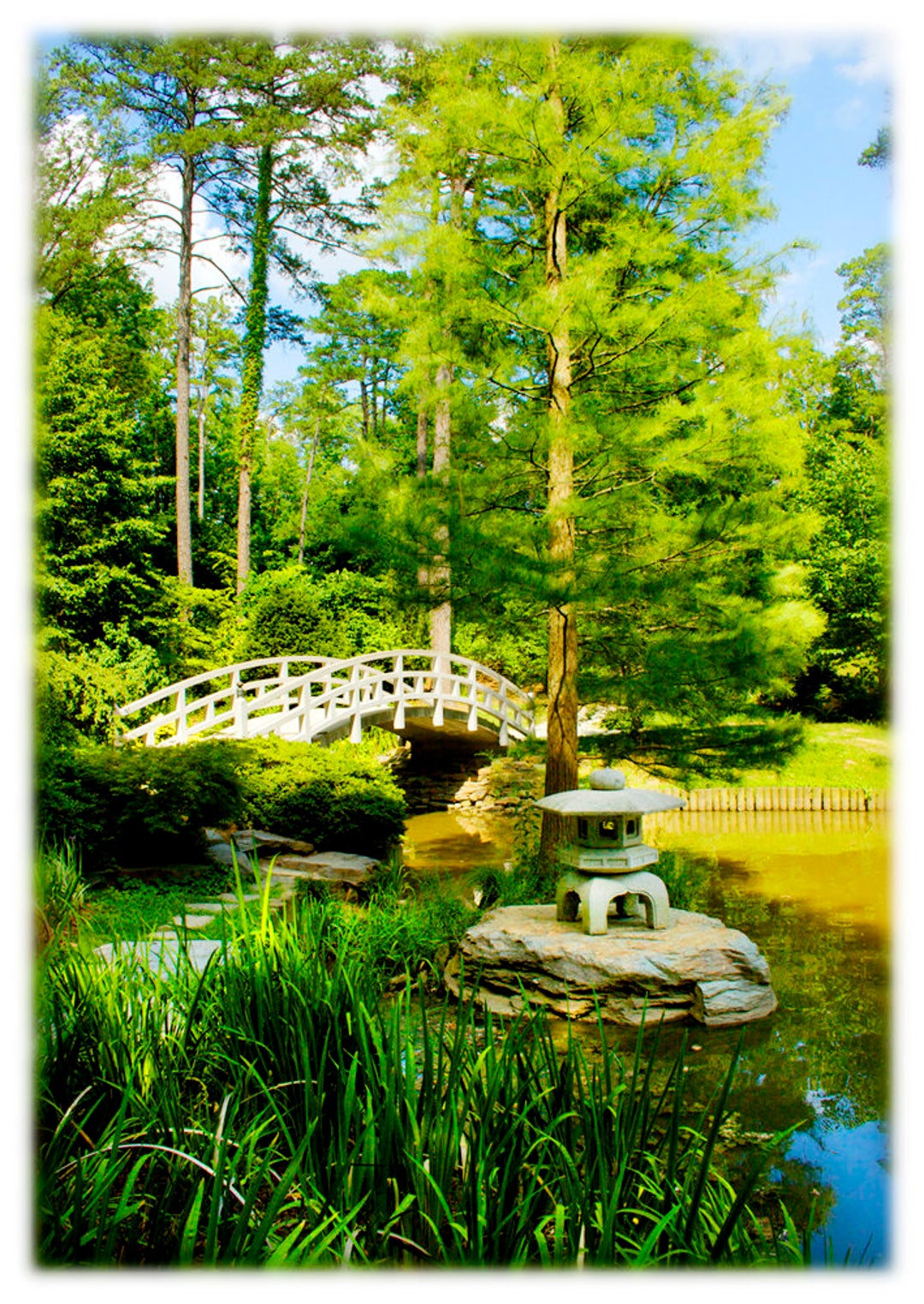 Iris Bridge Spring, Duke Gardens, Durham, North Carolina Photography ...