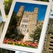 Duke University Davison Building - North Carolina Photography, College ...