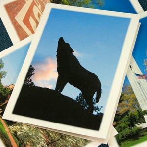 The NC State University Collection - Set of 4 Note Cards - NCSU ...